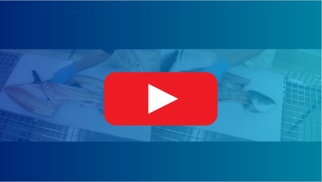 Top Page｜DAINICHI Corporation